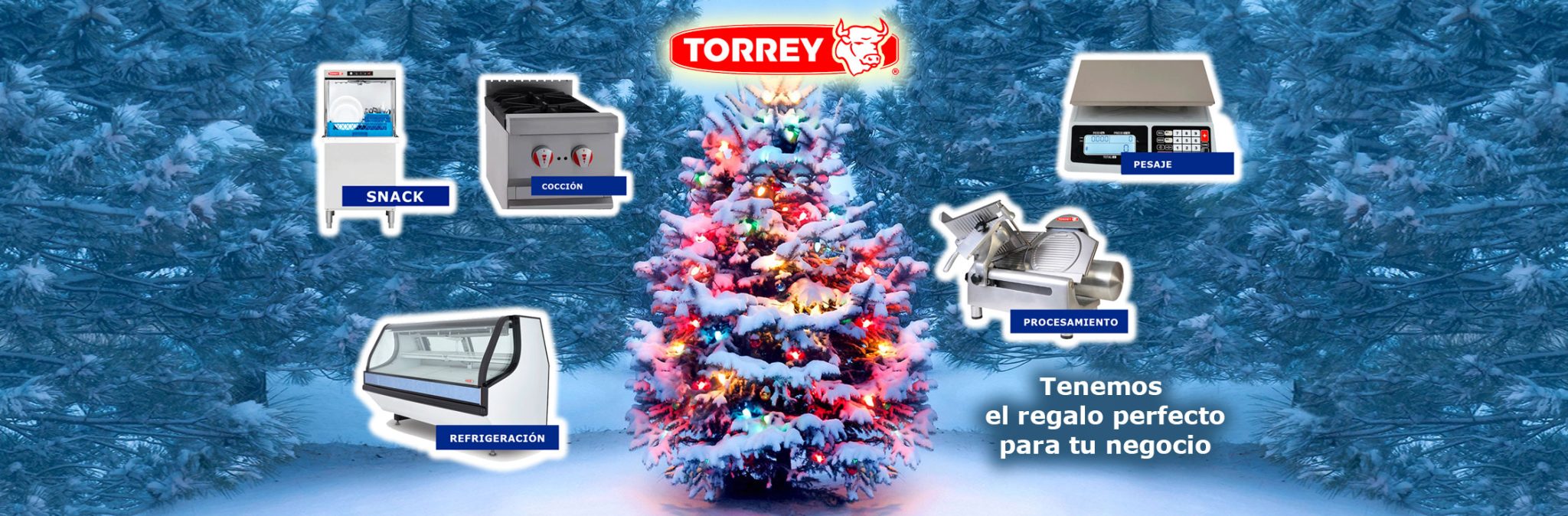 Inicio - Equipos Chapultepec Torrey México